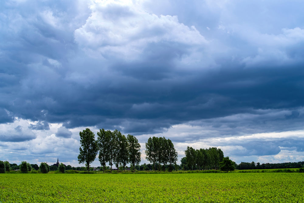 Sins Blotted Out in Christ (Part 2) - Words of Hope